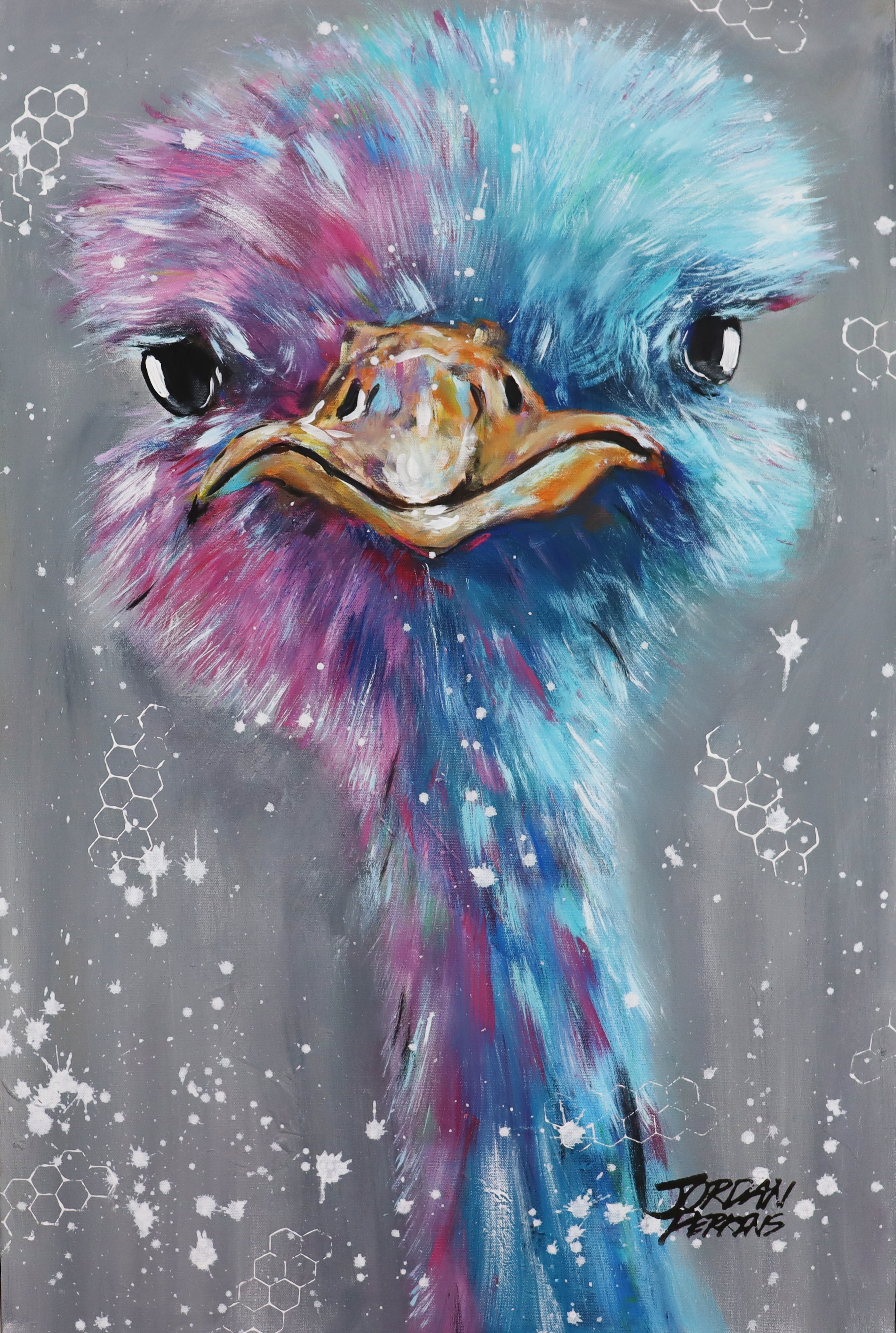Ostrich Canvas Print – Jordan Perkins Art